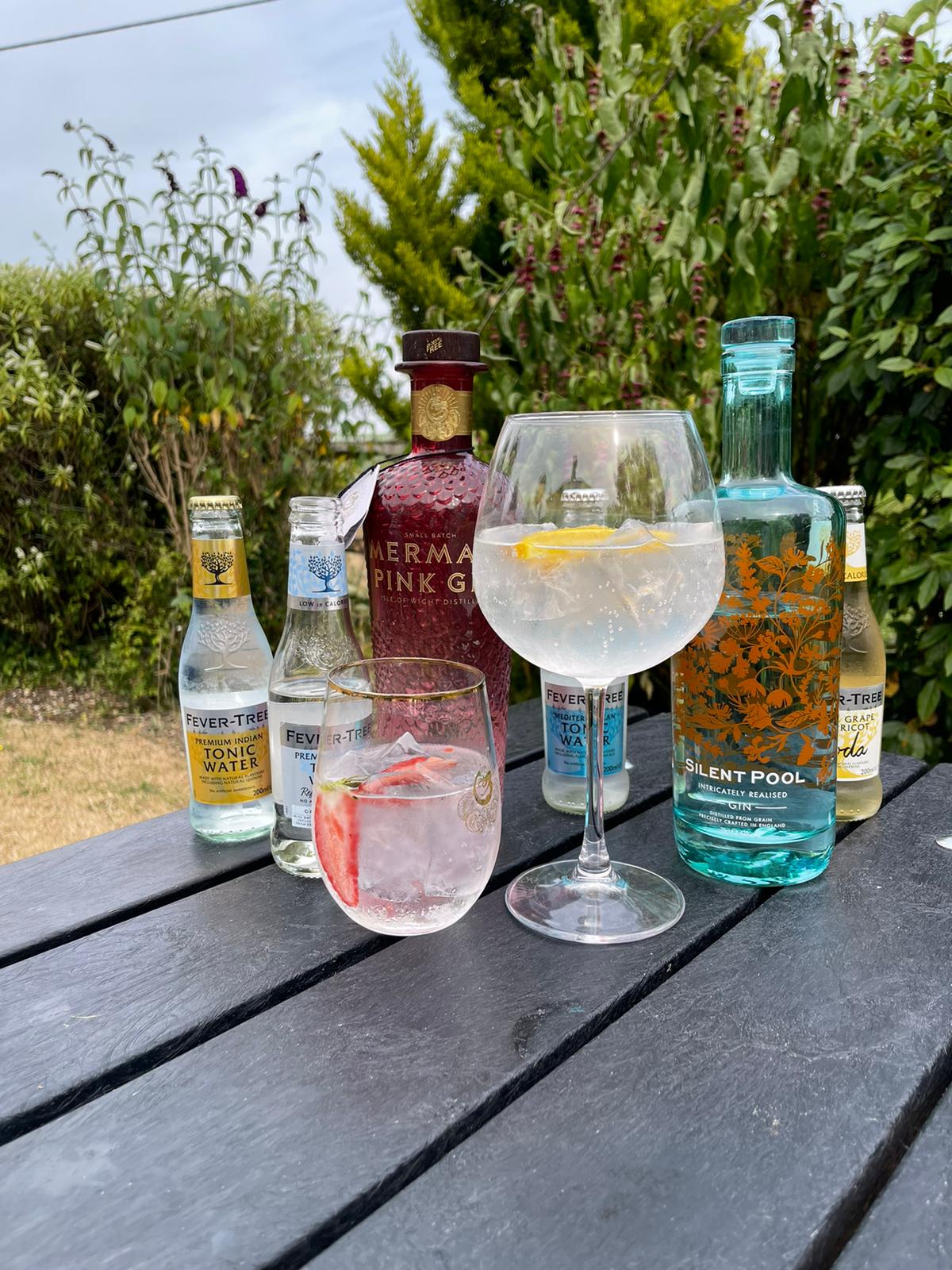 Special offer for on our gin - The Mortimer Arms Paultons Park New Forest